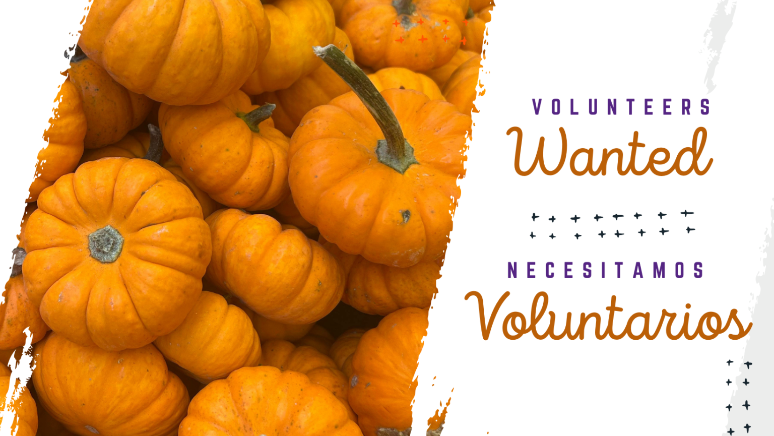 Home - OCEAA - a TK-8th Santa Ana charter school